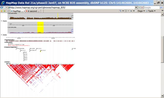 Now select “Download phased haplotype date” and click on “Go”
